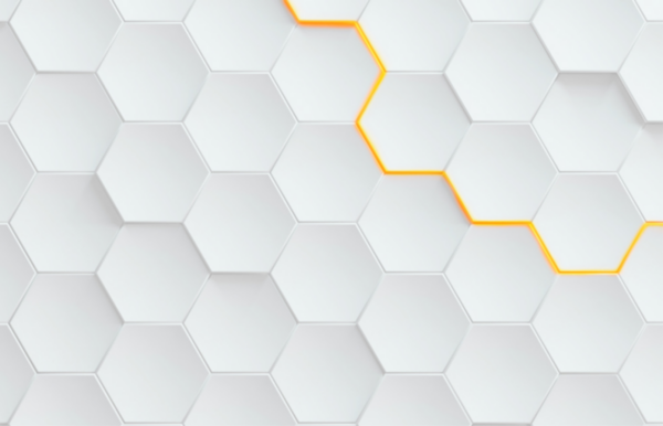 Partners - BrainChip